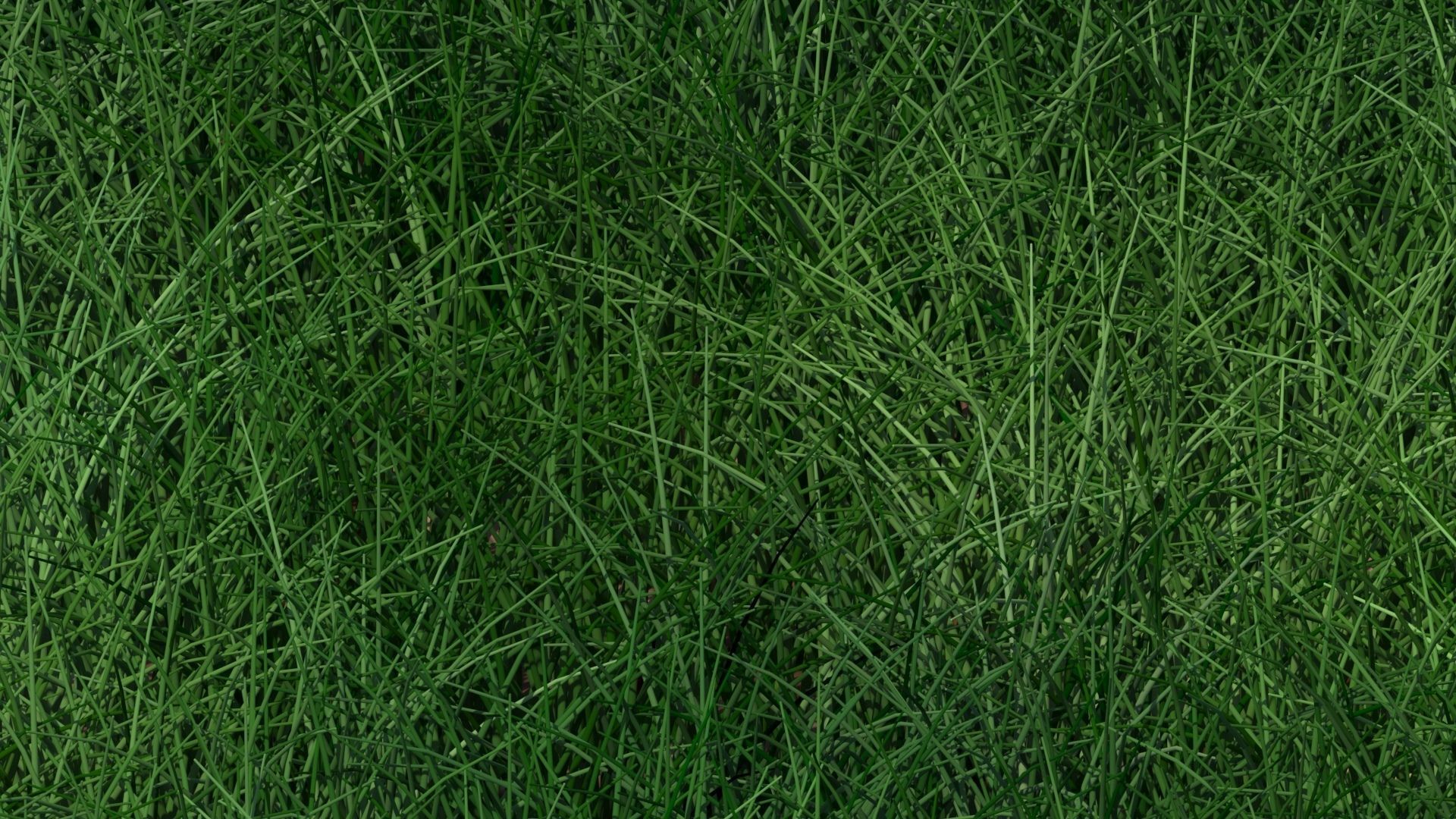 Grass 3D model | CGTrader