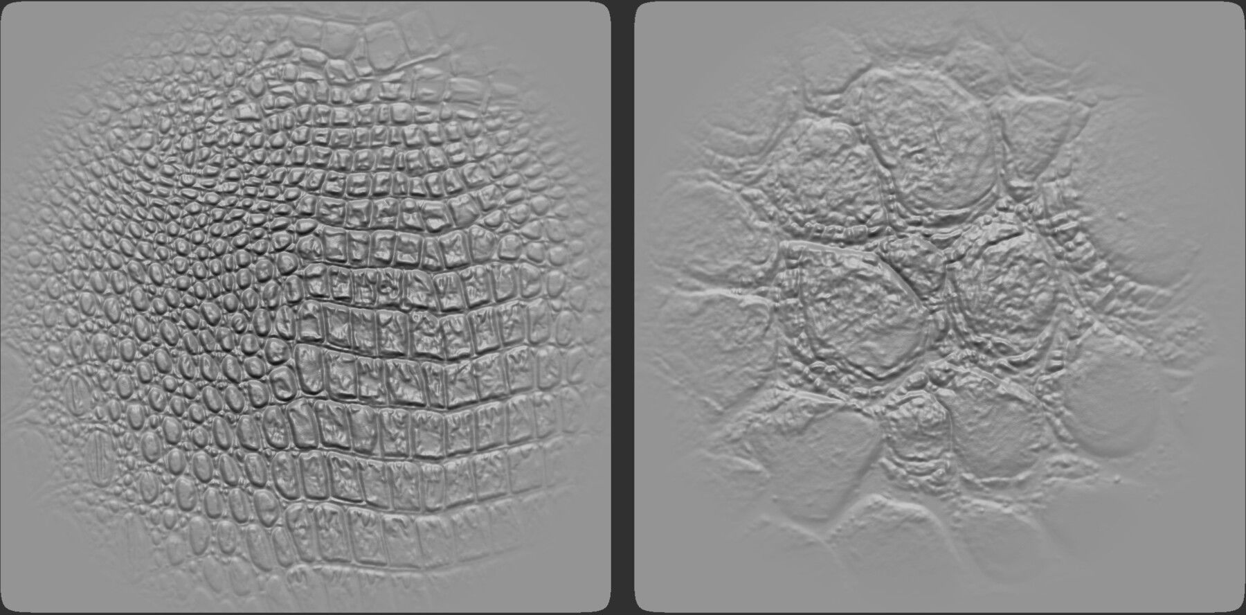 45 Reptile Dragon lizard crocodile Skin Scale Alphas V3 3D model | CGTrader