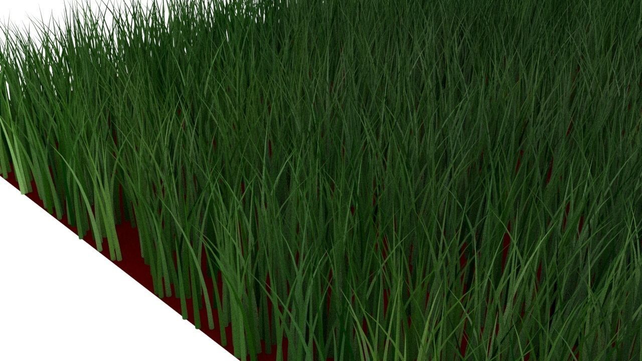 Grass 3D model | CGTrader