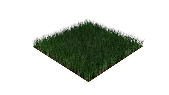 Grass 3D model | CGTrader