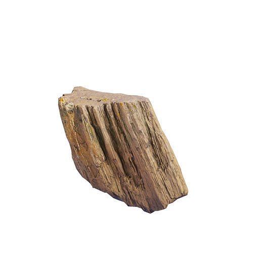 3D model Petrified Wood 3 VR / AR / low-poly | CGTrader