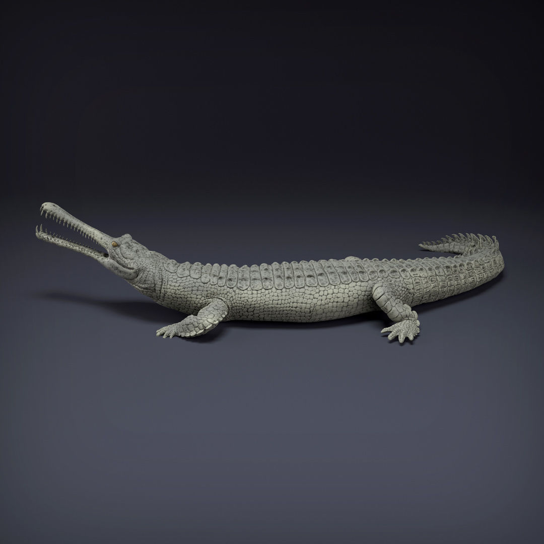 Gharial for 3D Printing 3D model 3D printable | CGTrader