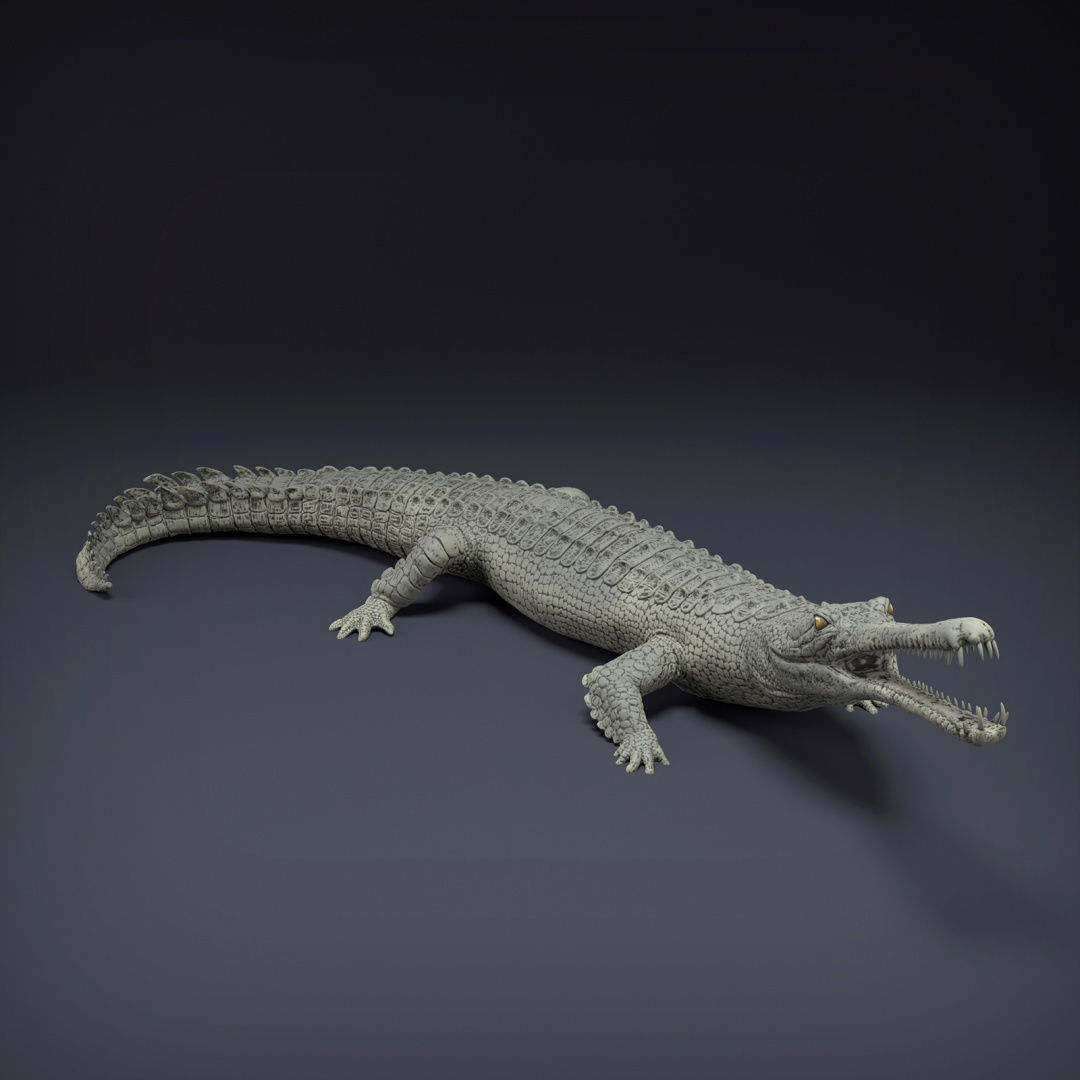 Gharial for 3D Printing 3D model 3D printable | CGTrader