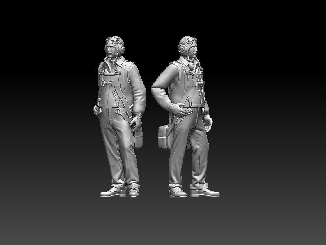 pilot usa 3D model 3D printable | CGTrader