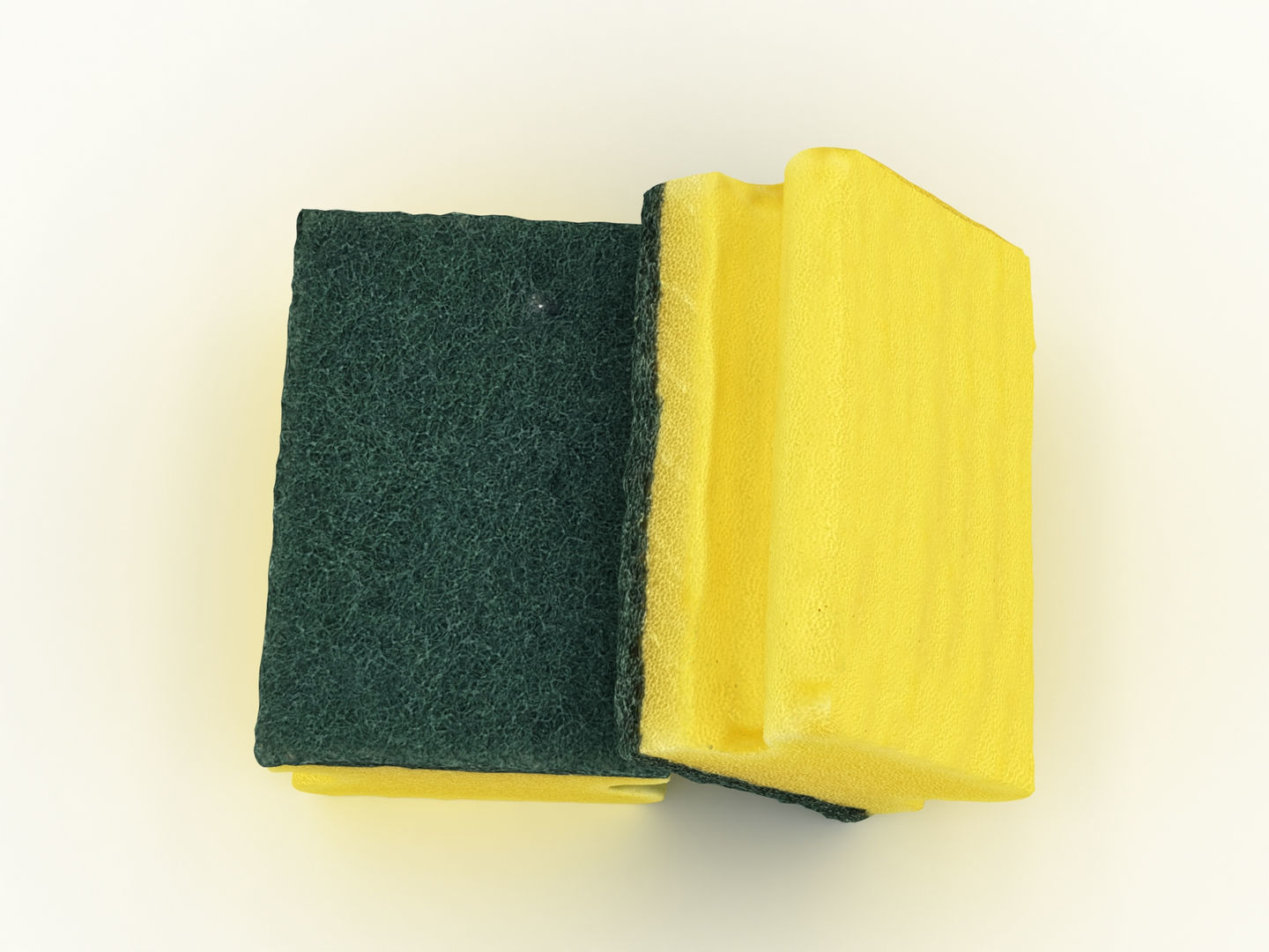 Sponge Scourer New 3D model | CGTrader