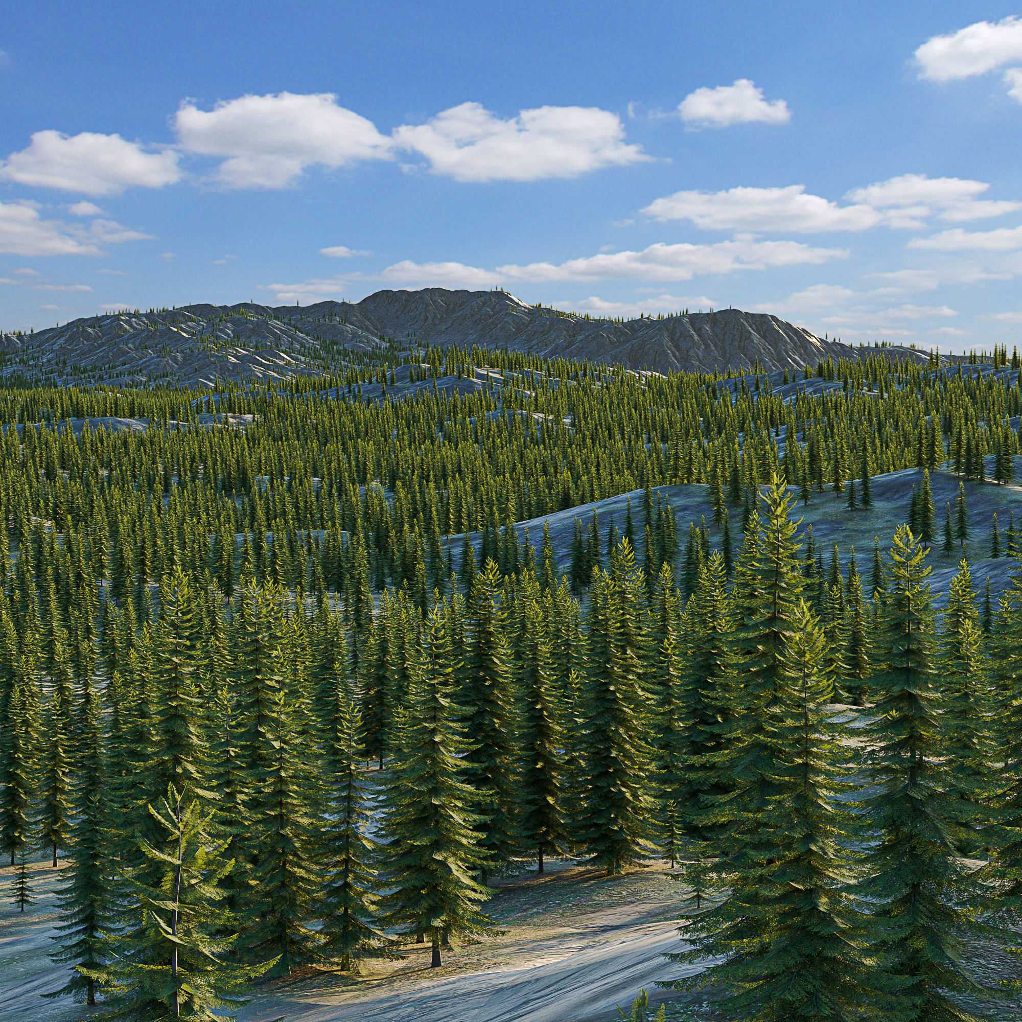 landscape01 engelmann spruce 3D model | CGTrader