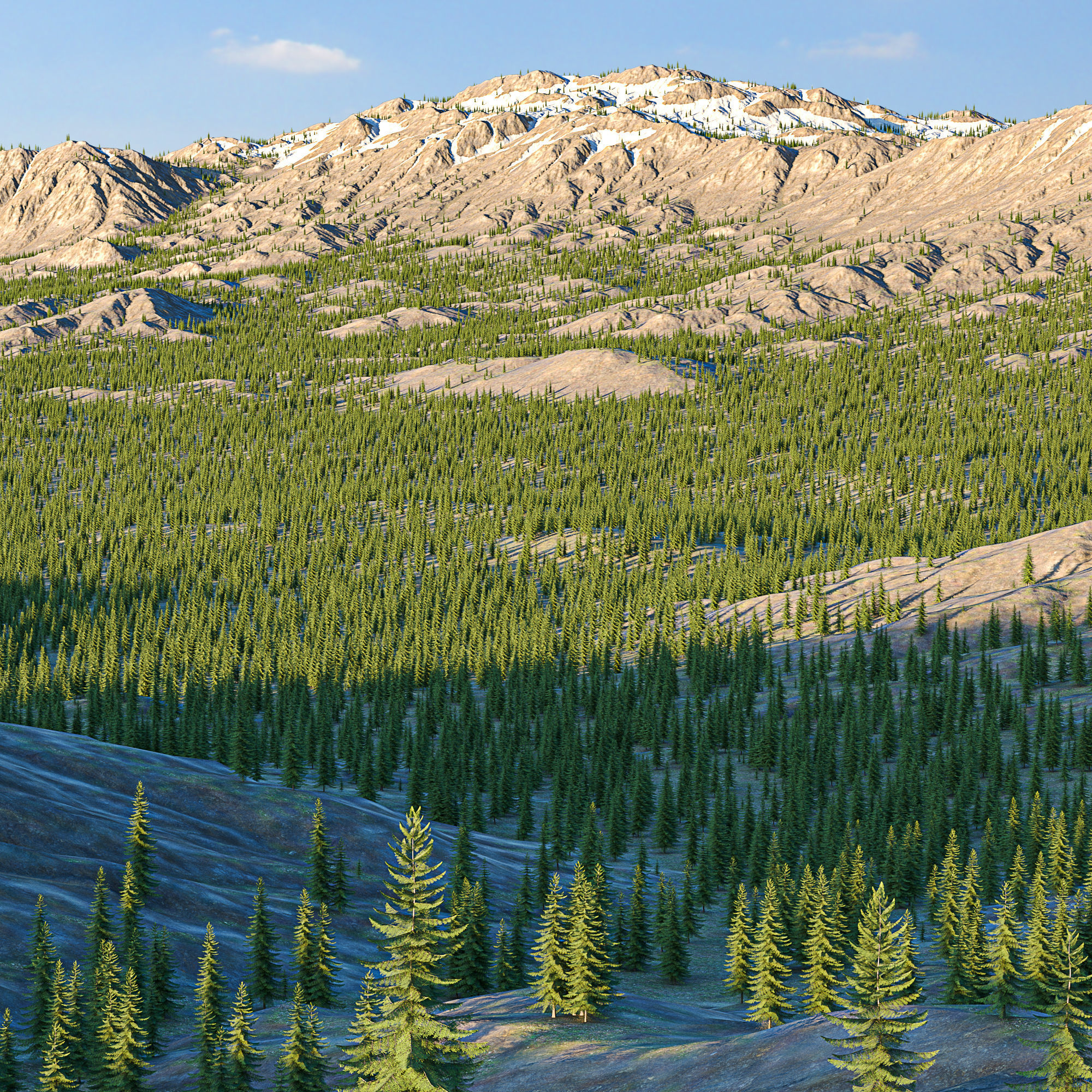 landscape01 engelmann spruce 3D model | CGTrader