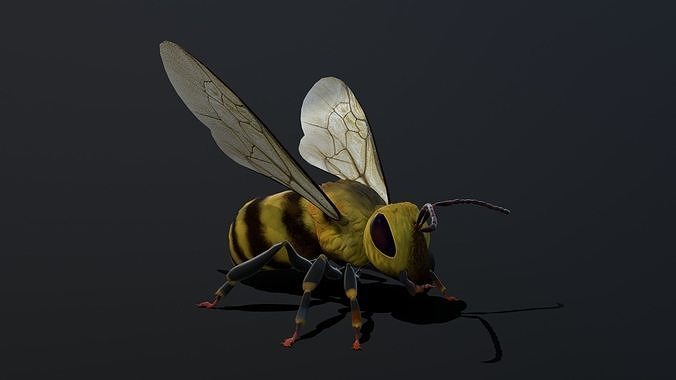 3D model Bee low poly 3D model VR / AR / low-poly | CGTrader
