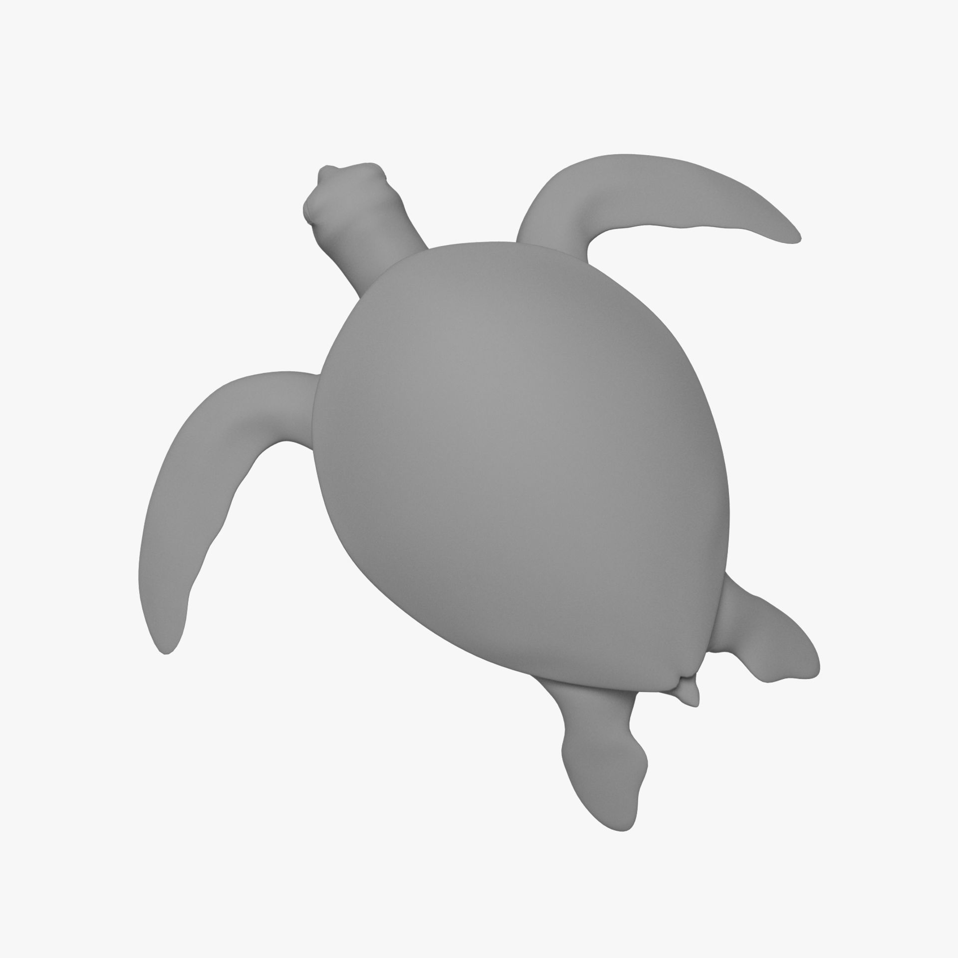 Turtle base mesh 3D model | CGTrader