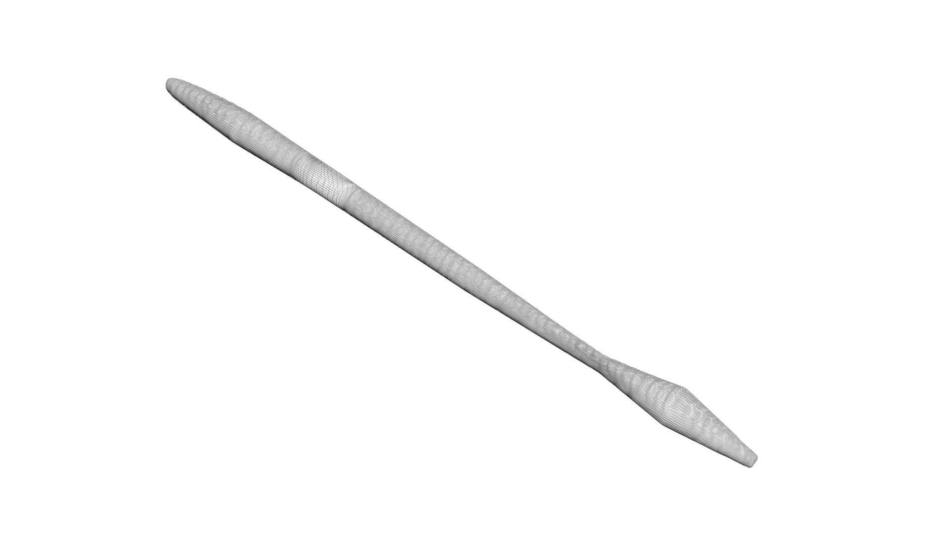 Straight Earthworm 3D model | CGTrader