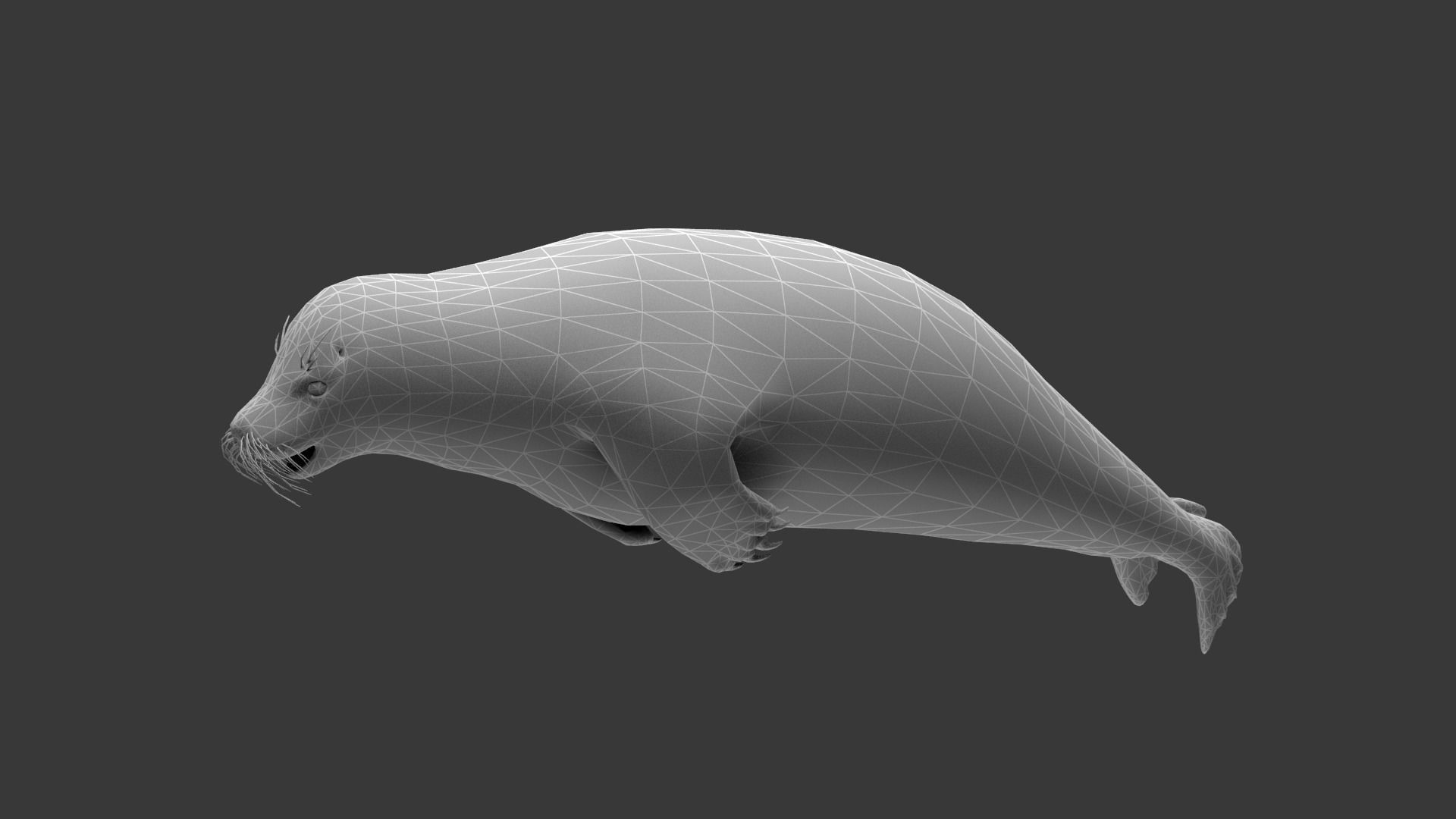 3D model animated seal sea lion VR / AR / low-poly | CGTrader