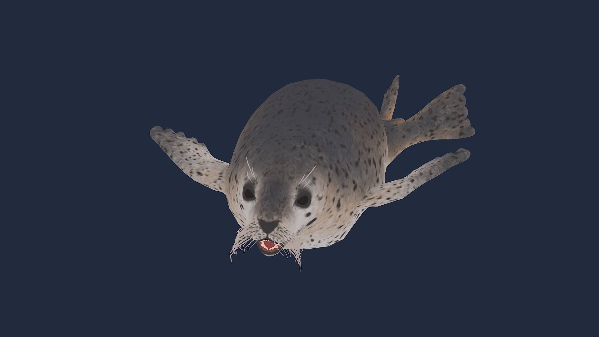 3D model animated seal sea lion VR / AR / low-poly | CGTrader