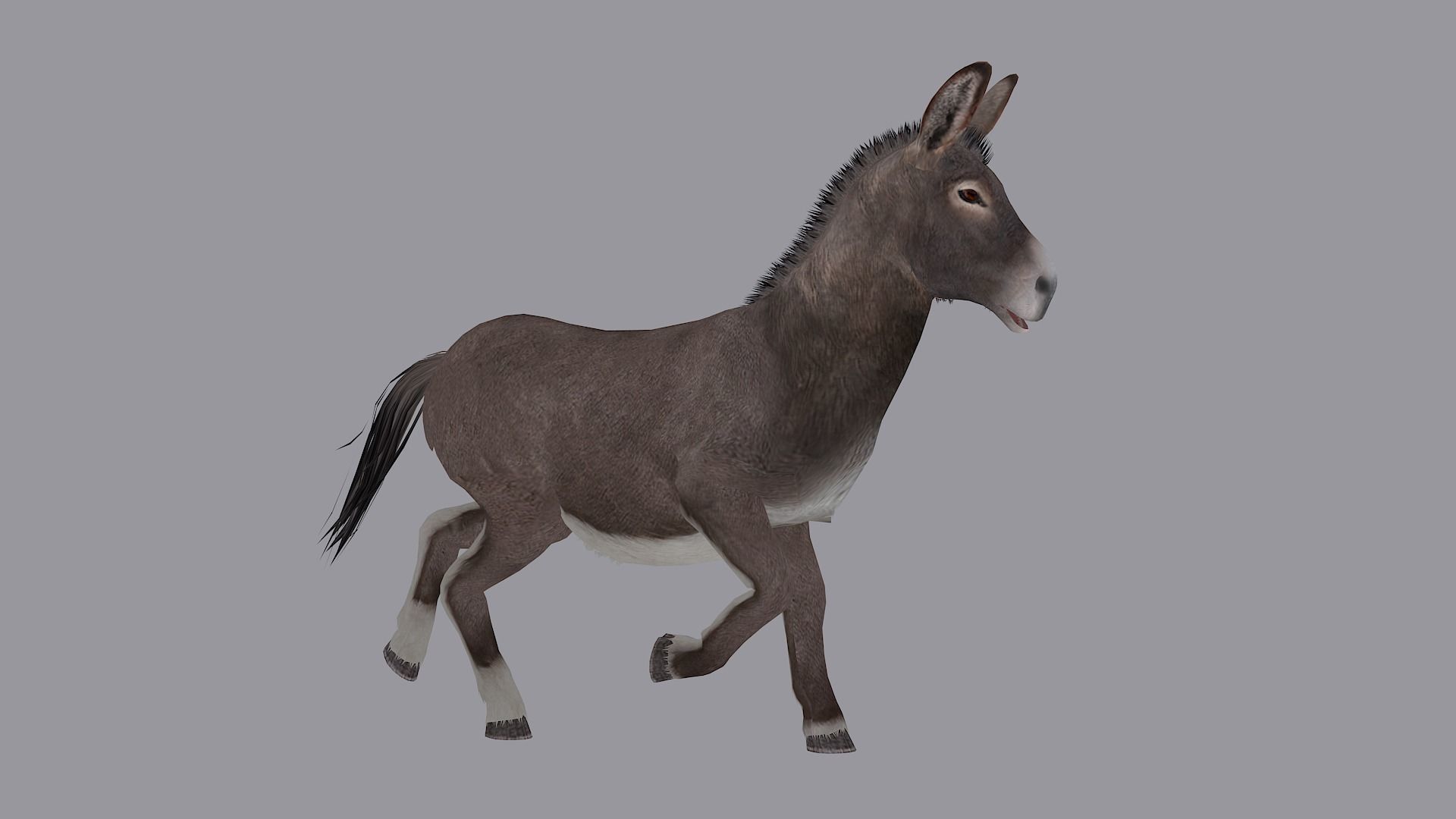 3D model animated donkey VR / AR / low-poly | CGTrader