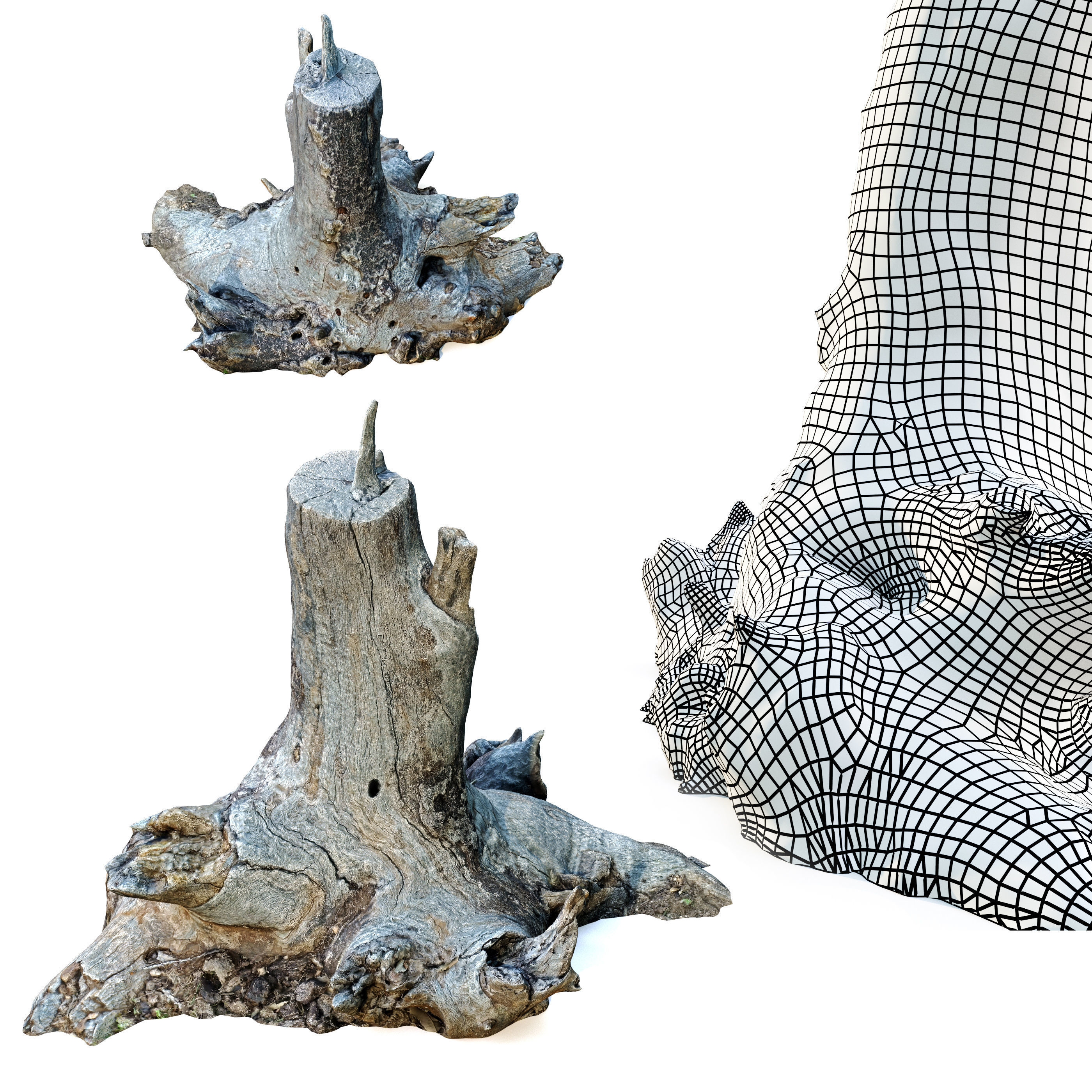 Tree Stump Pack 3 3D model | CGTrader