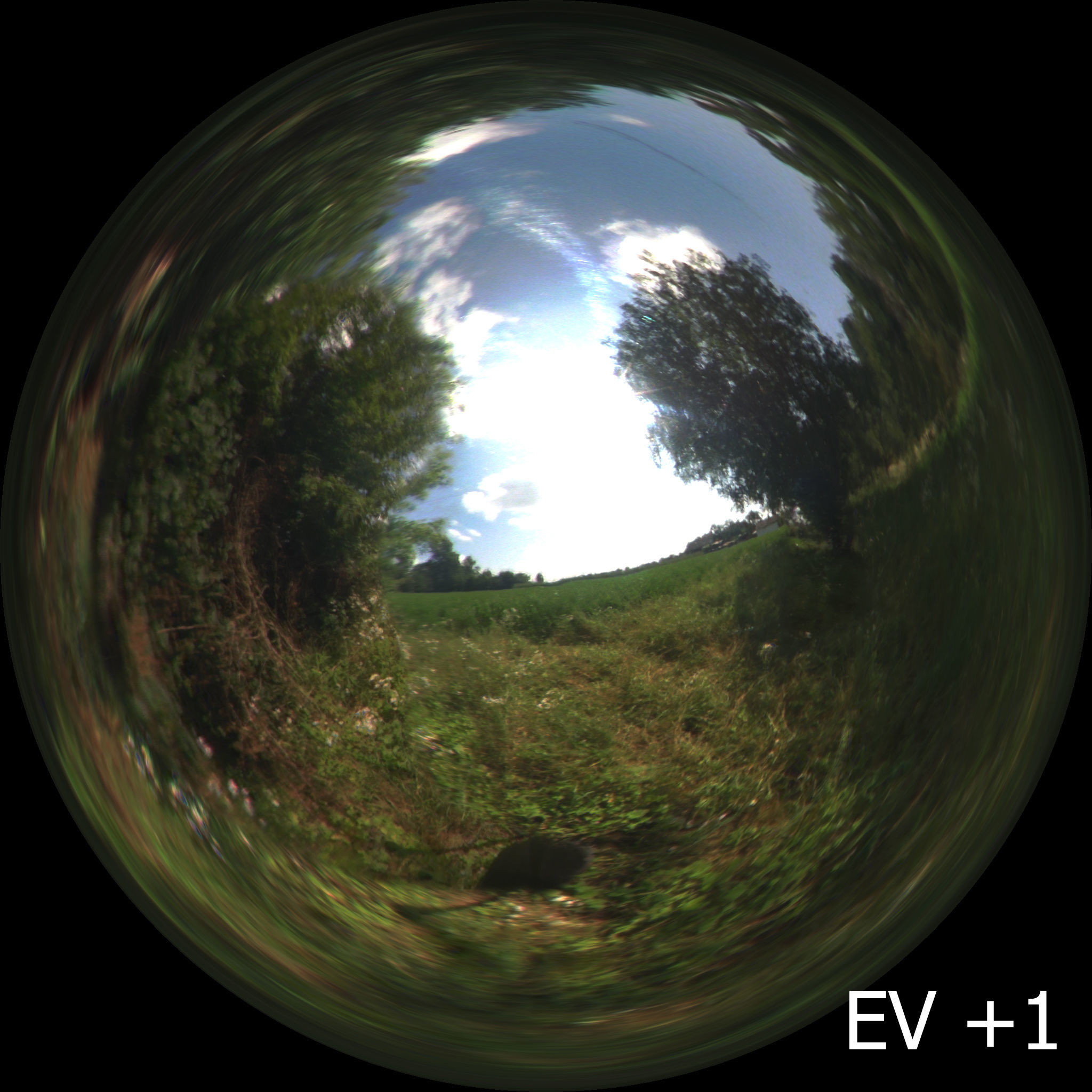 Countryside sunny day HDRi Texture | CGTrader