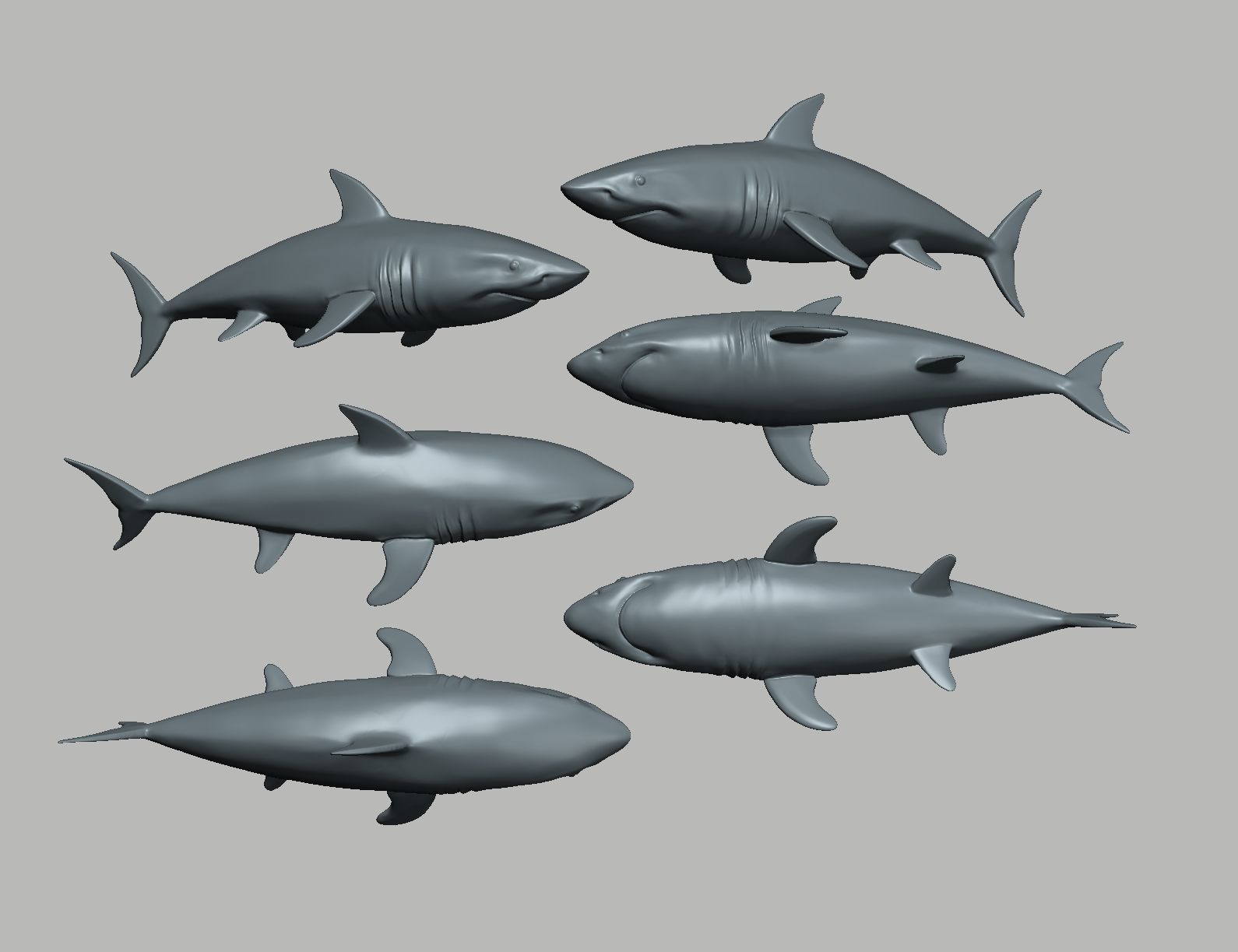 Shark 3D model 3D printable | CGTrader