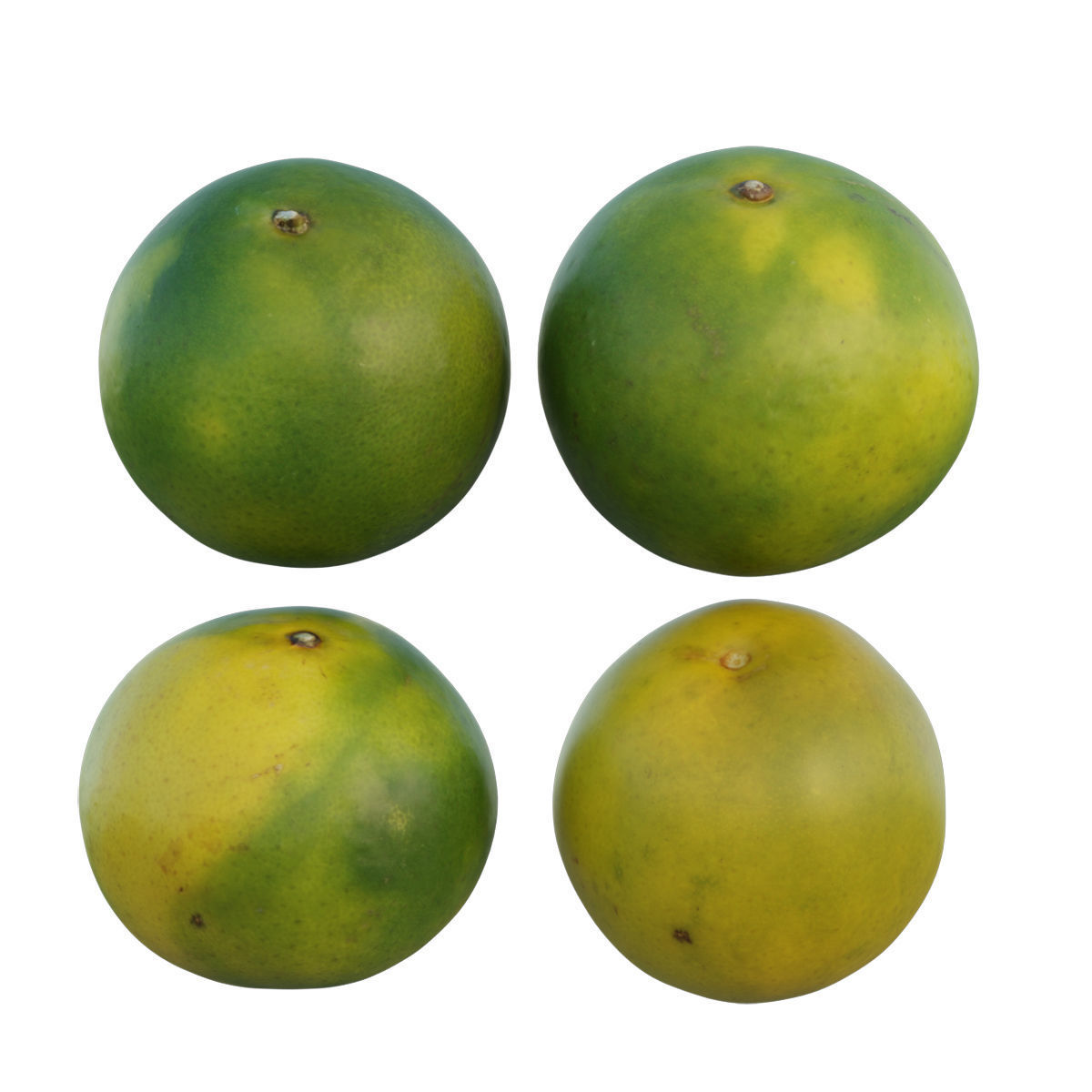 Mandarin four mangoes 3D model | CGTrader