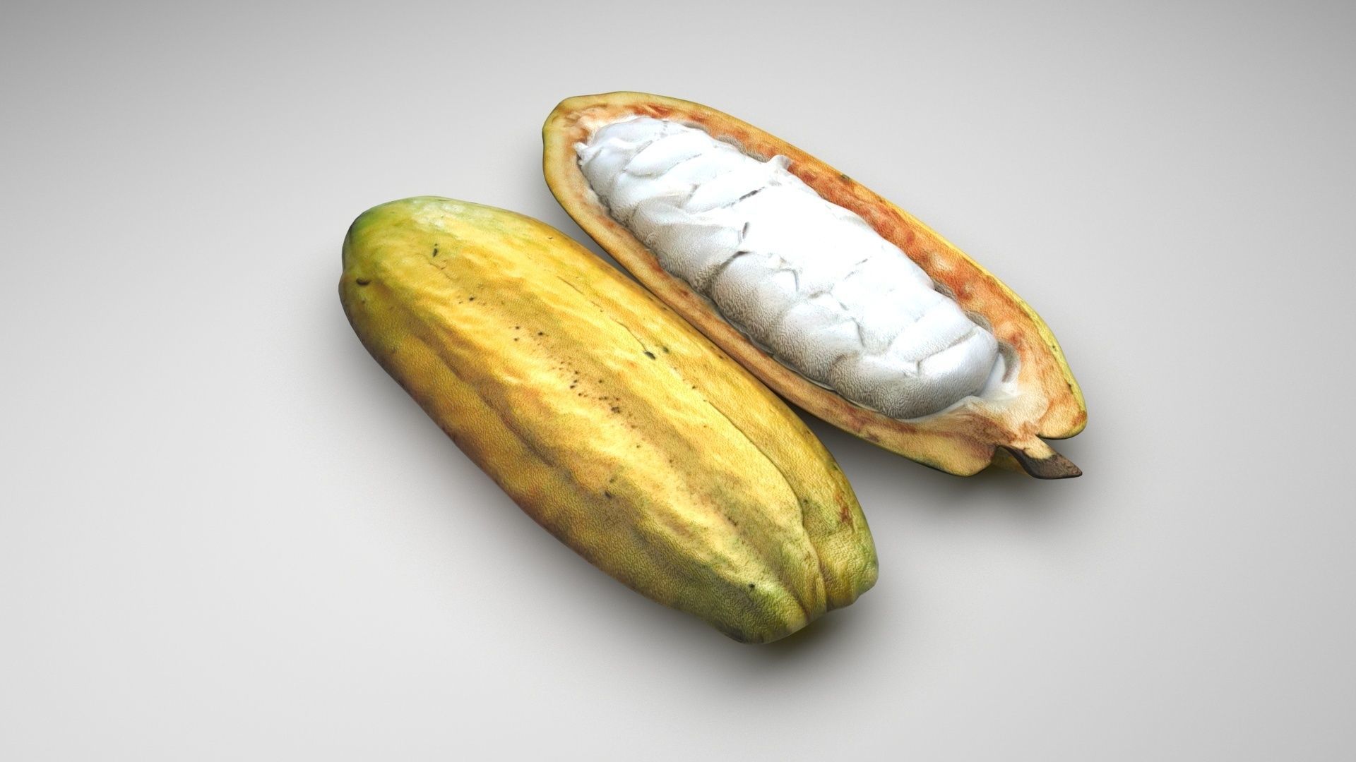 Opened and Unripe Cocoa Fruit 3D model | CGTrader