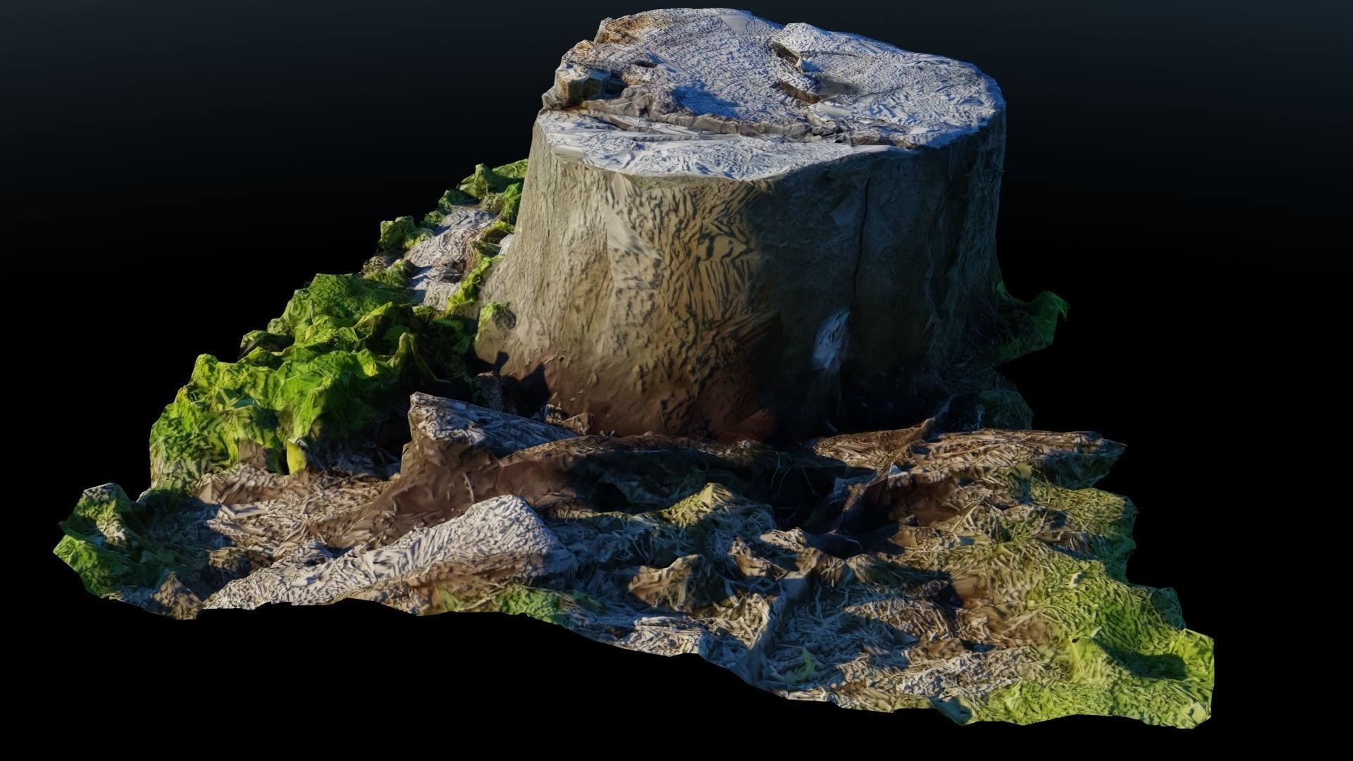 3D model Tree Stumps - Pack of 2 VR / AR / low-poly | CGTrader