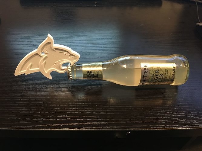 Bottle Opener 3D model 3D printable | CGTrader