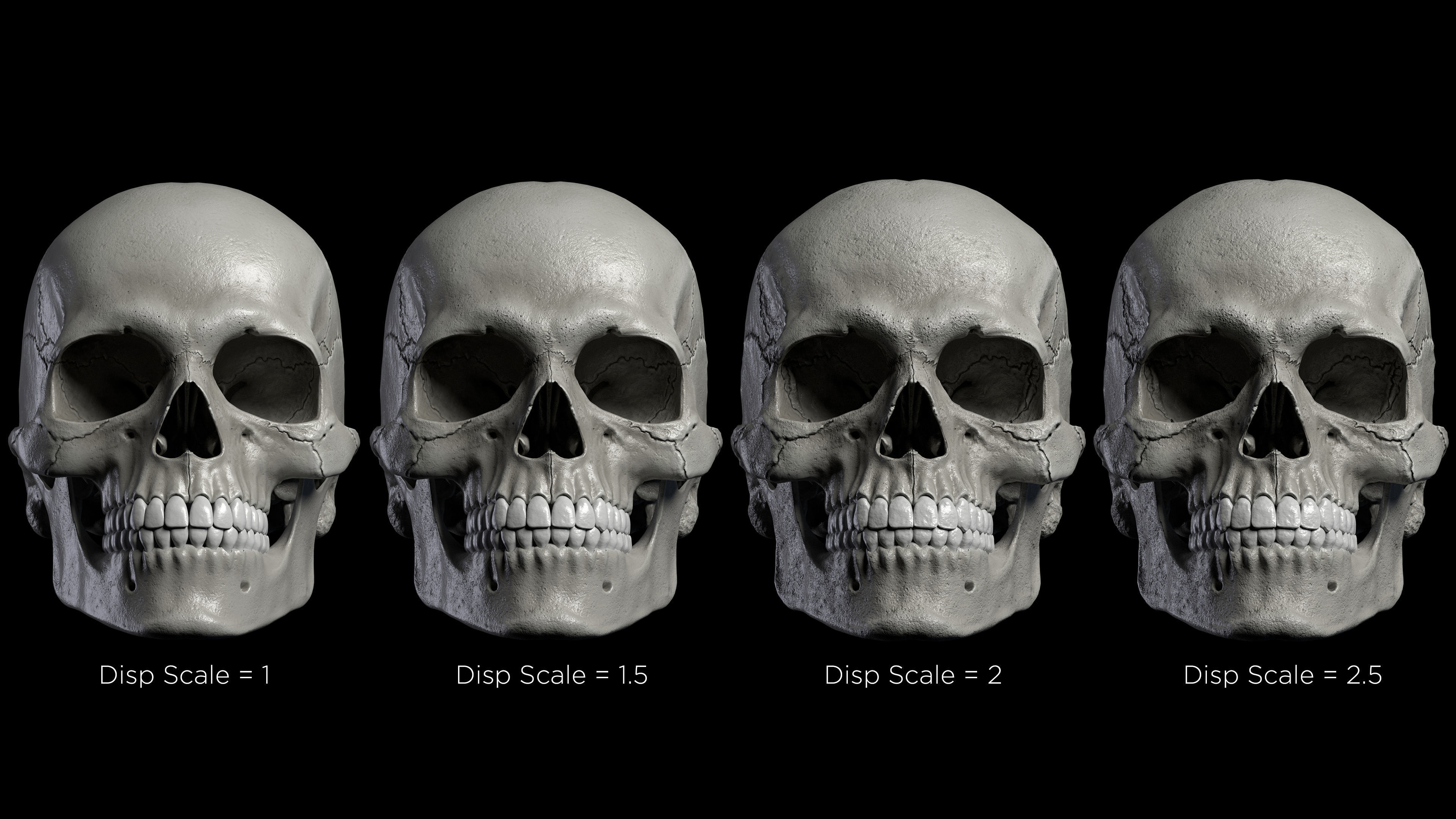 3D model Skeleton Rigged - Skeleton Rig - Skeletal System VR / AR / low ...