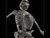 Skeleton Rigged - Skeleton Rig - Skeletal System 3D model rigged | CGTrader