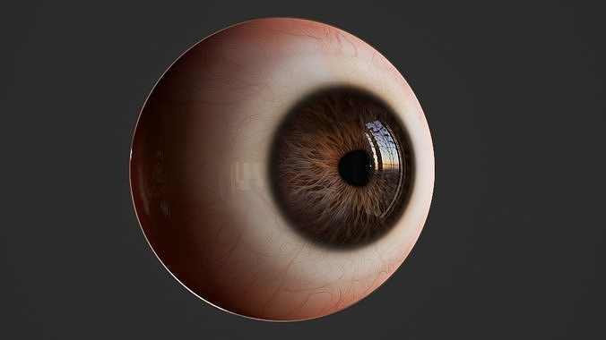3D model Realistic Human eye VR / AR / low-poly | CGTrader