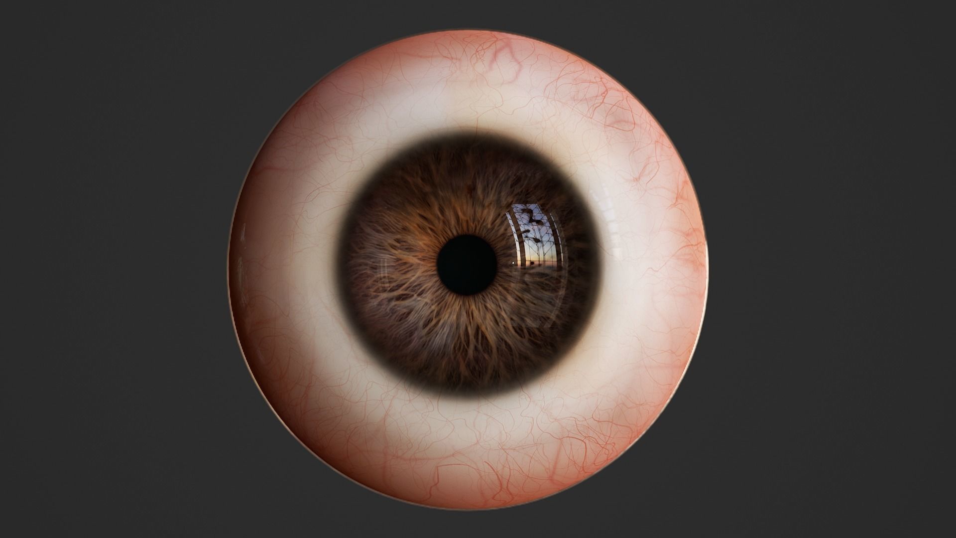 3D model Realistic Human eye VR / AR / low-poly | CGTrader