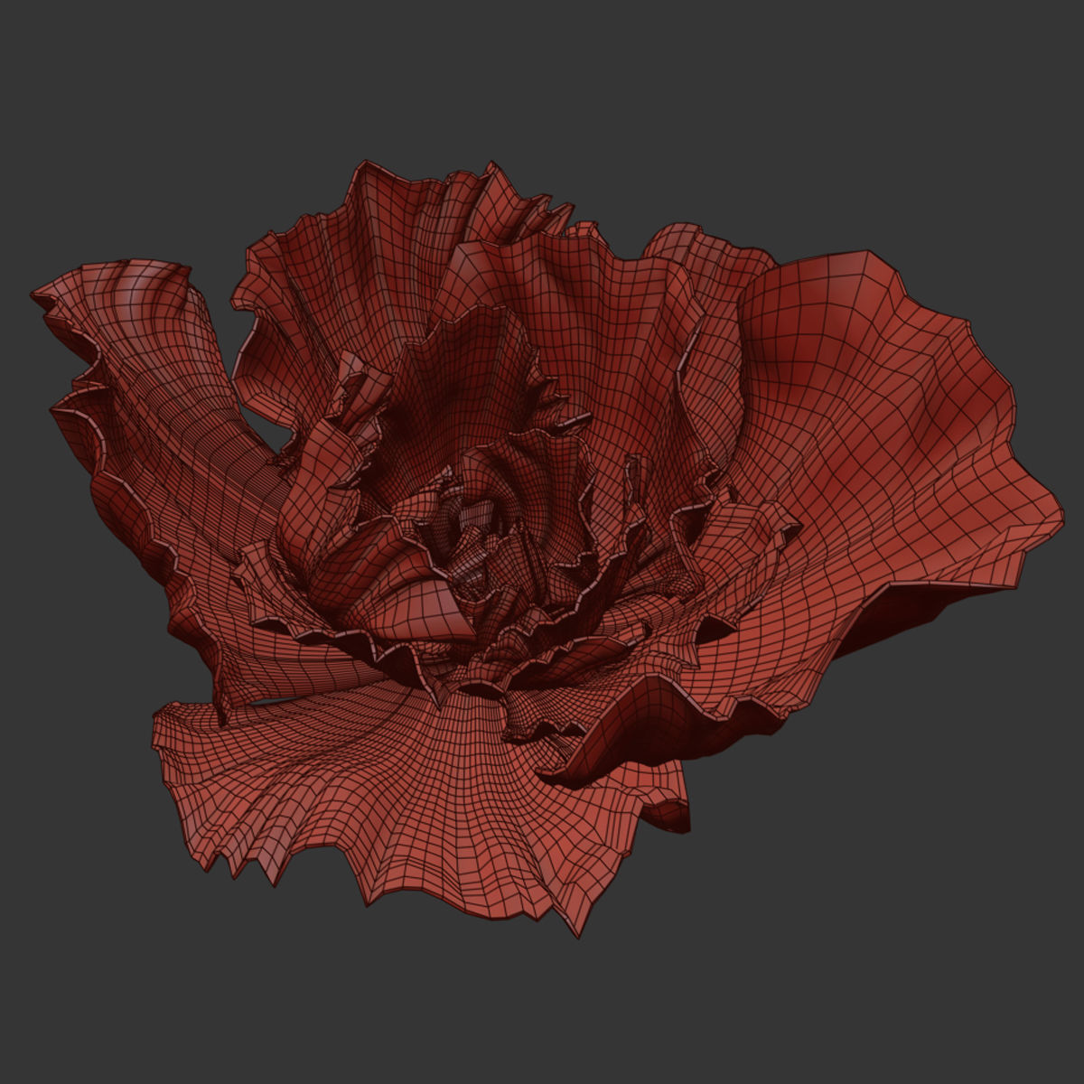 Gypsum flower 3D model | CGTrader