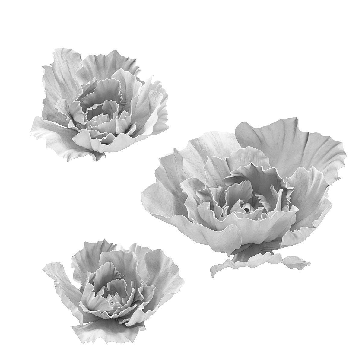 Gypsum flower 3D model | CGTrader