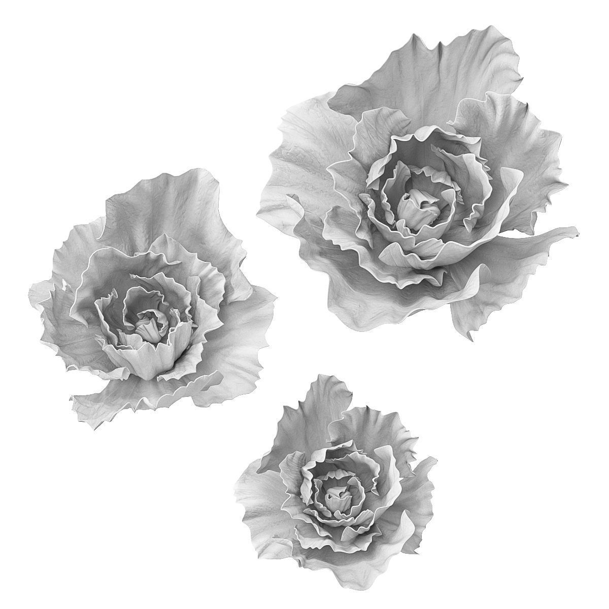 Gypsum flower 3D model | CGTrader