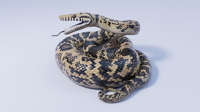 3D model Animated Scrub Python VR / AR / low-poly | CGTrader