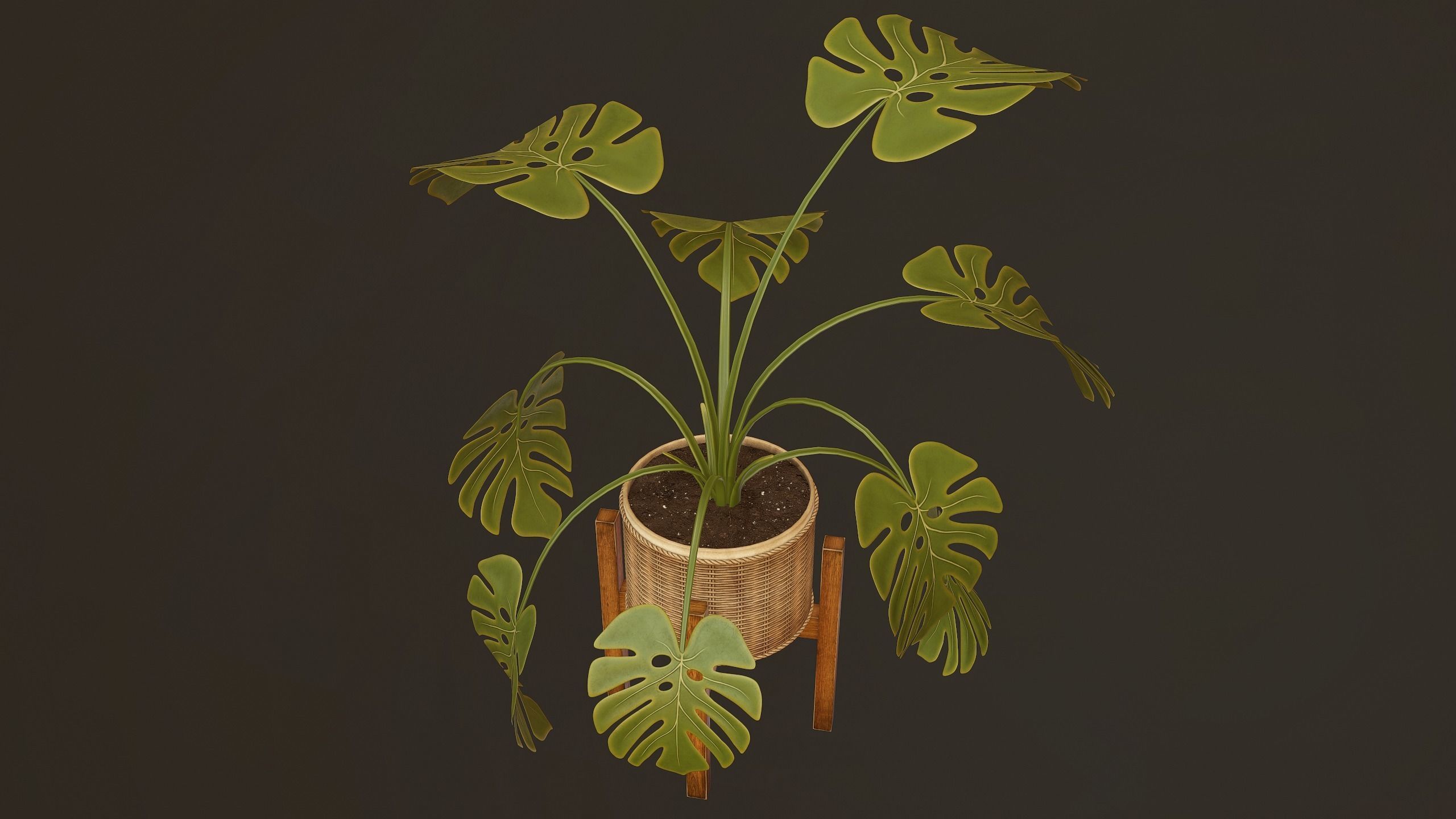 3D model Monstera Plant - PBR Game Ready VR / AR / low-poly | CGTrader