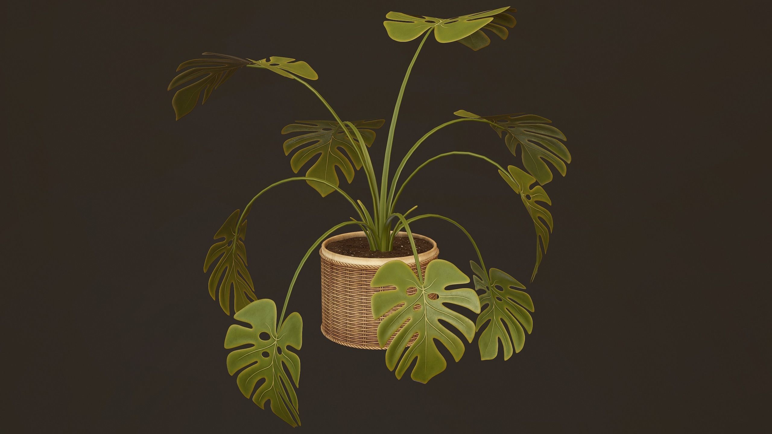 3D model Monstera Plant - PBR Game Ready VR / AR / low-poly | CGTrader