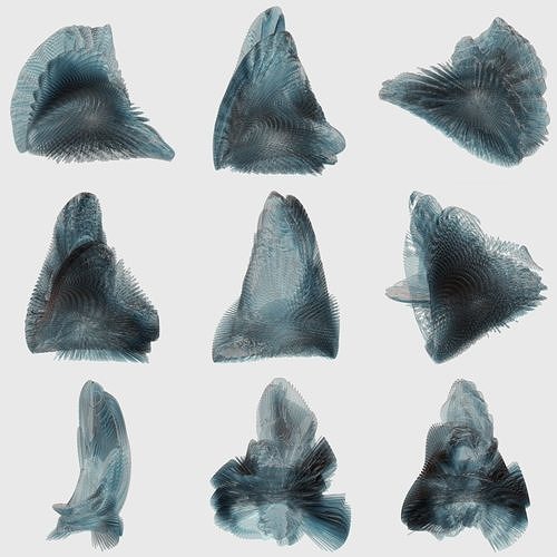 9 Sea Creatures 3D model | CGTrader