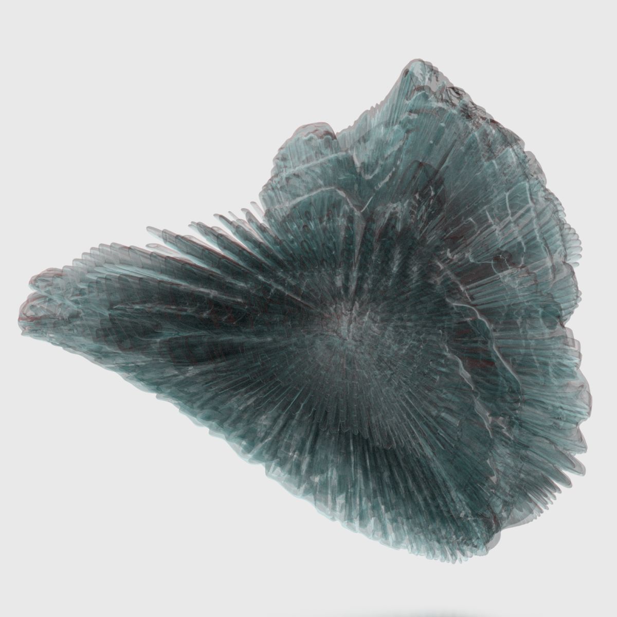 9 Sea Creatures 3D model | CGTrader