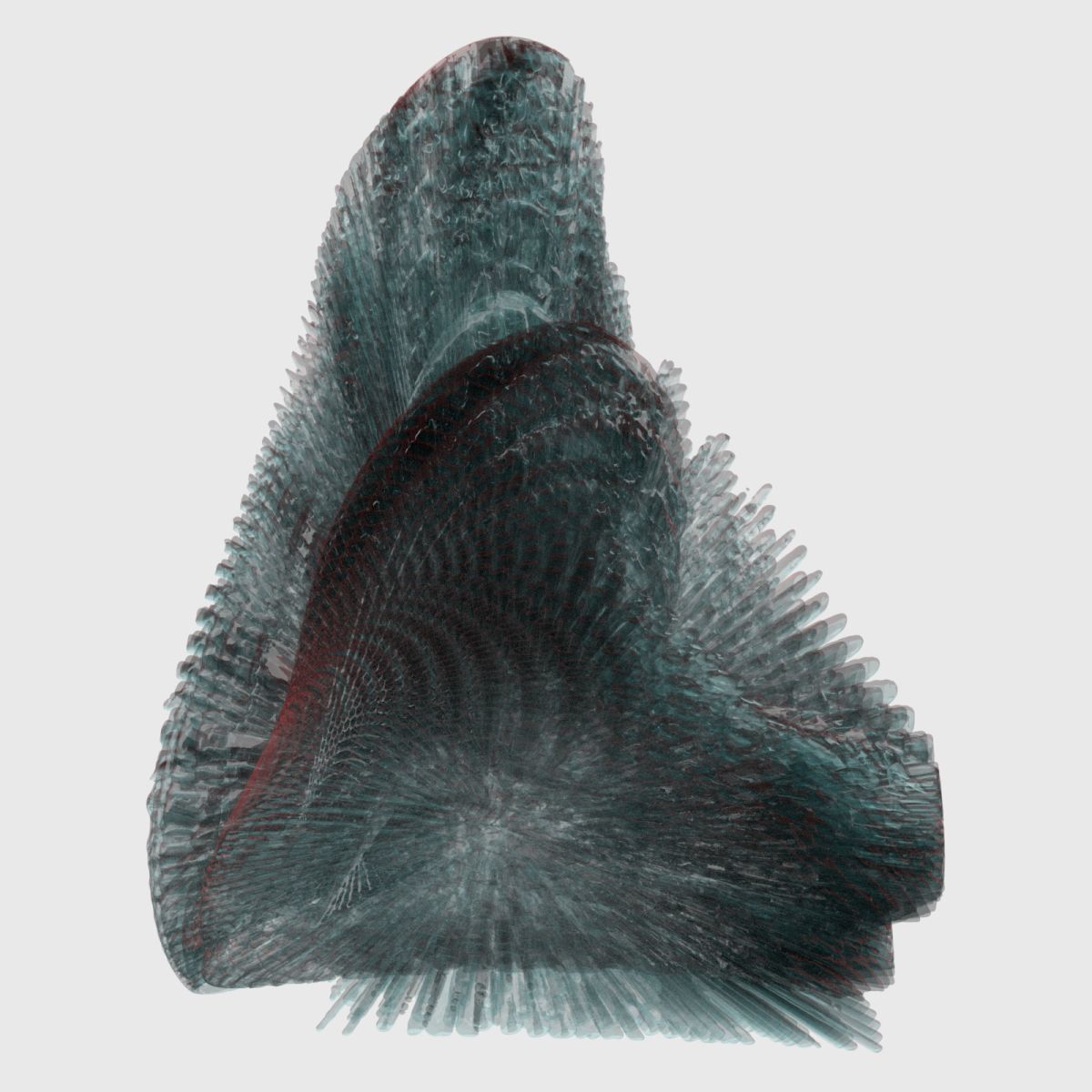 9 Sea Creatures 3D model | CGTrader