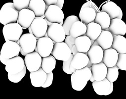 Grape 3D Models | CGTrader