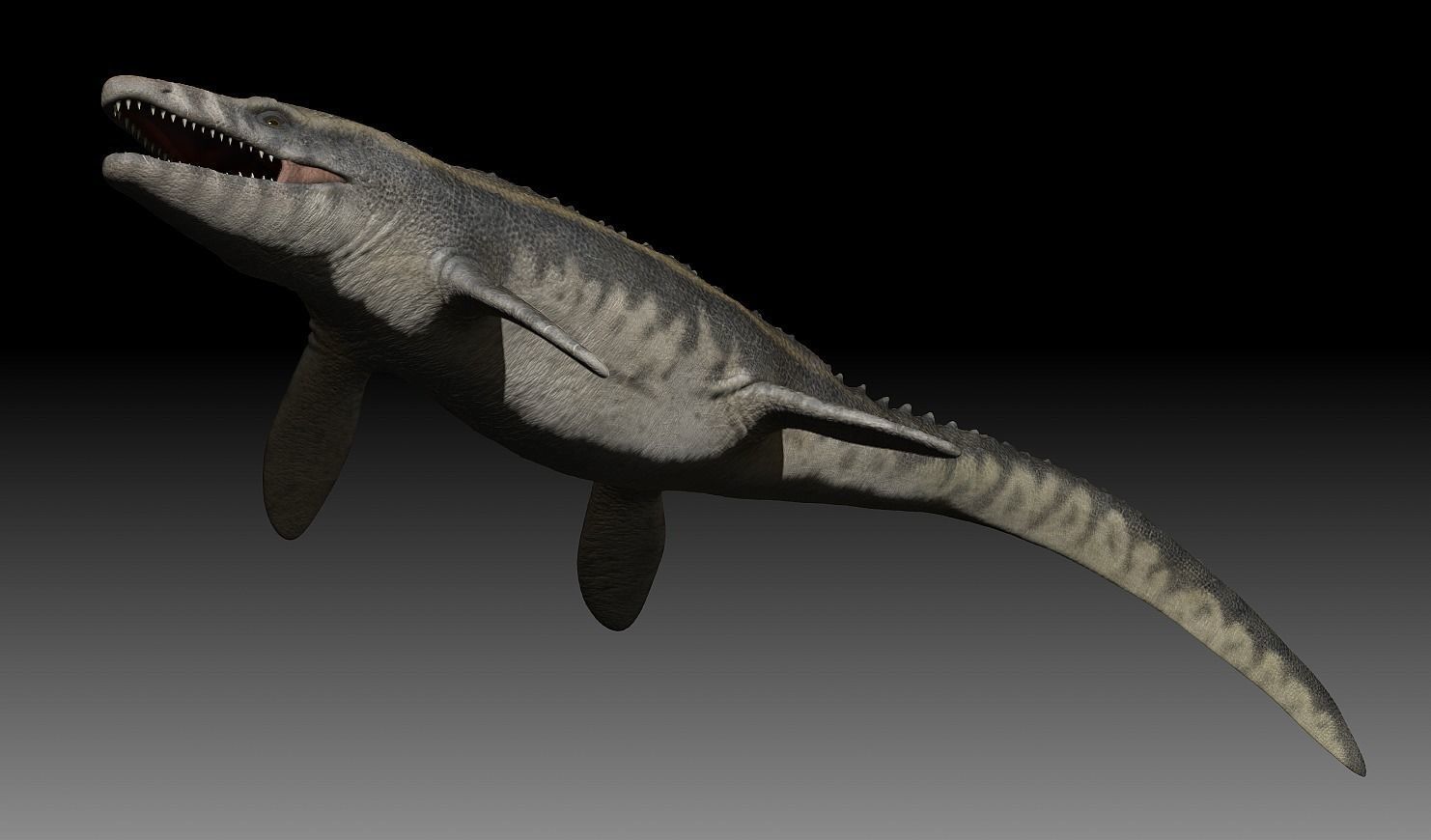 Mosasaurus fish with long teeth free 3D model | CGTrader