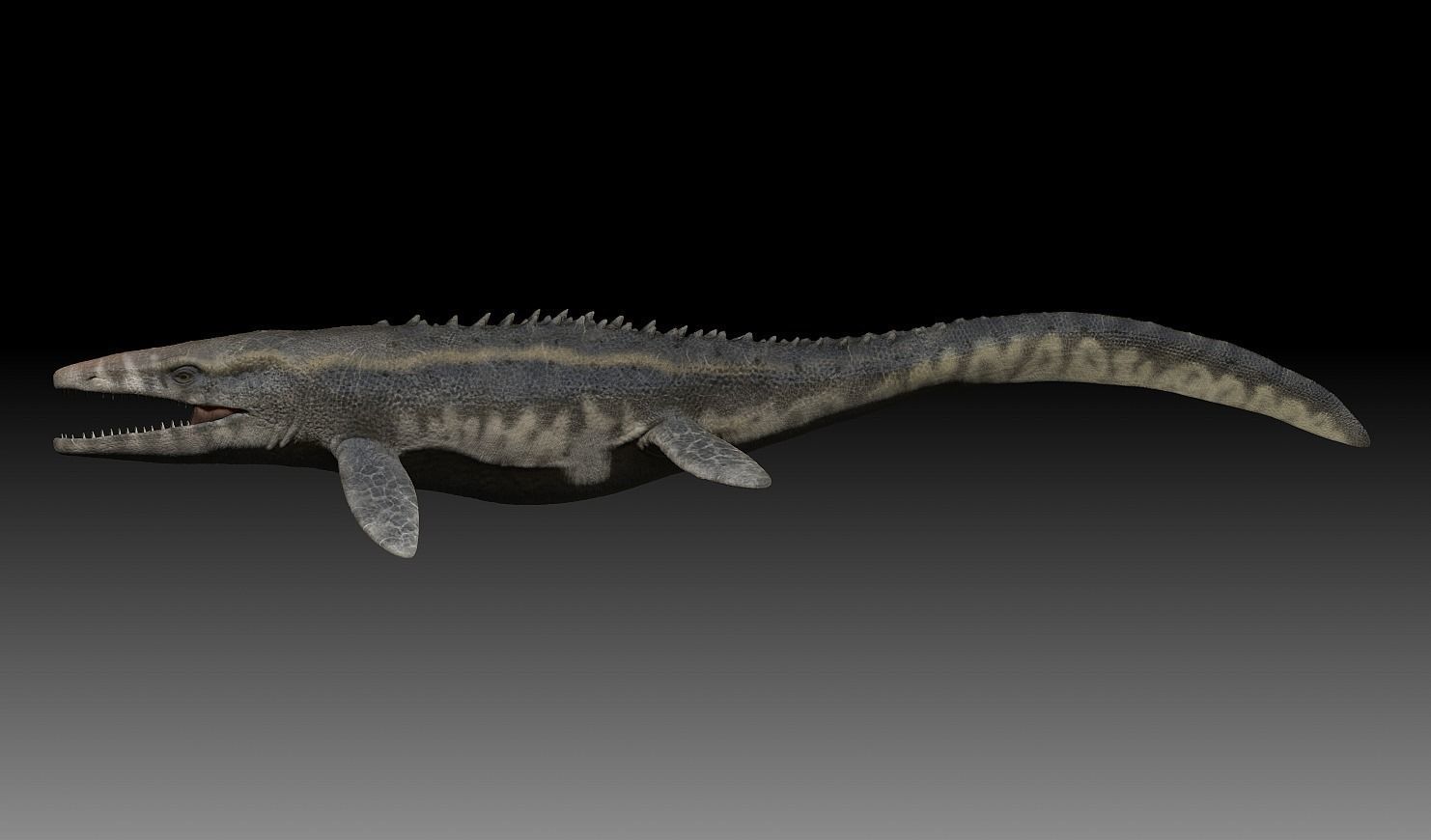 Mosasaurus free 3D model | CGTrader
