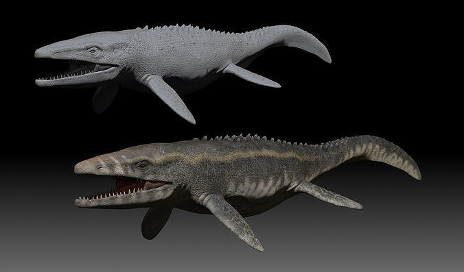 Mosasaurus free 3D model | CGTrader