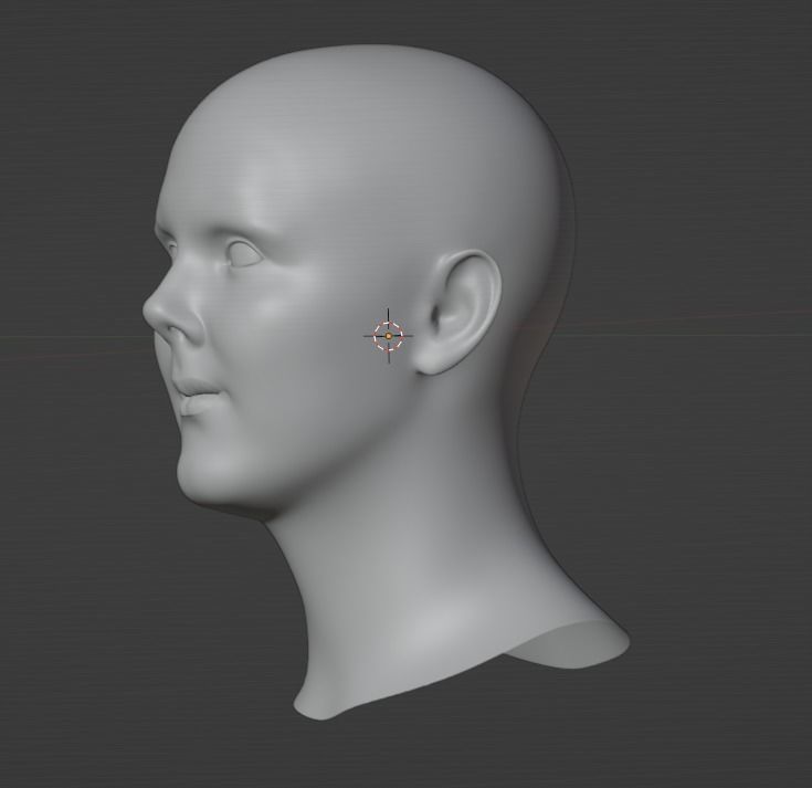 Simple Head Model 3D model rigged | CGTrader