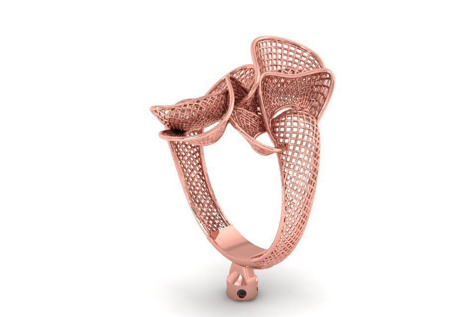 Filigree Ring STL OBJ FBX Renders Details 3D model 3D printable | CGTrader