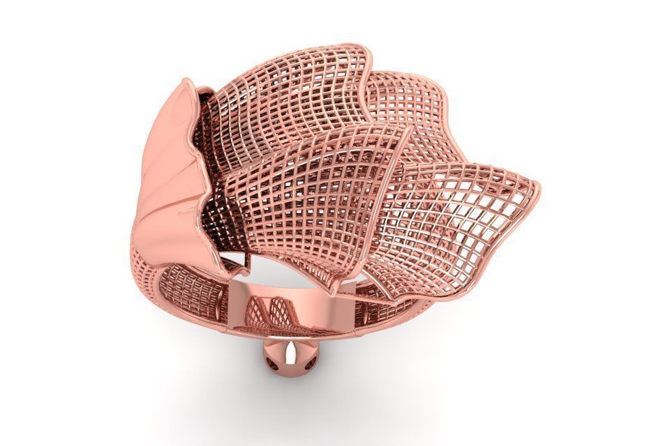 Filigree Ring STL OBJ FBX Renders Details 3D model 3D printable | CGTrader