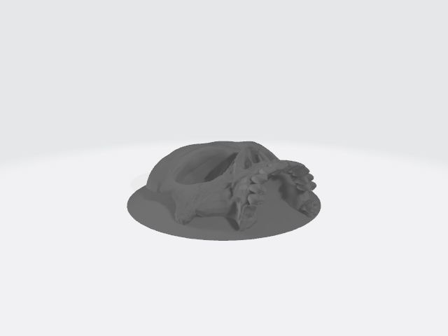 center-cap-skull skull free 3D model | CGTrader