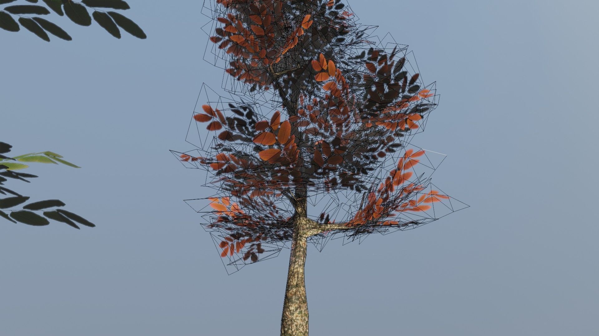 3D model Trees and plants VR / AR / low-poly | CGTrader