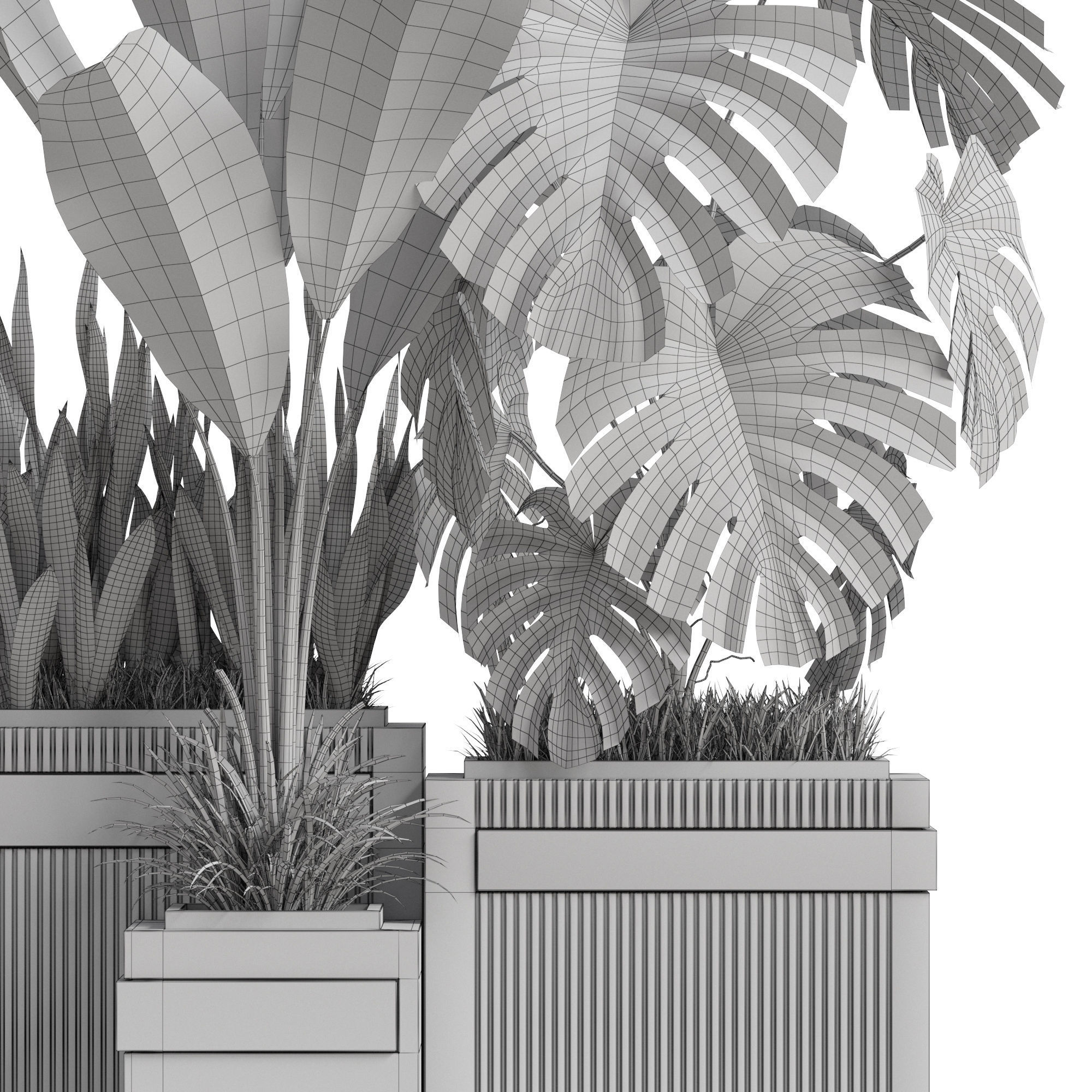 Plants Collection 776 3d Model Cgtrader
