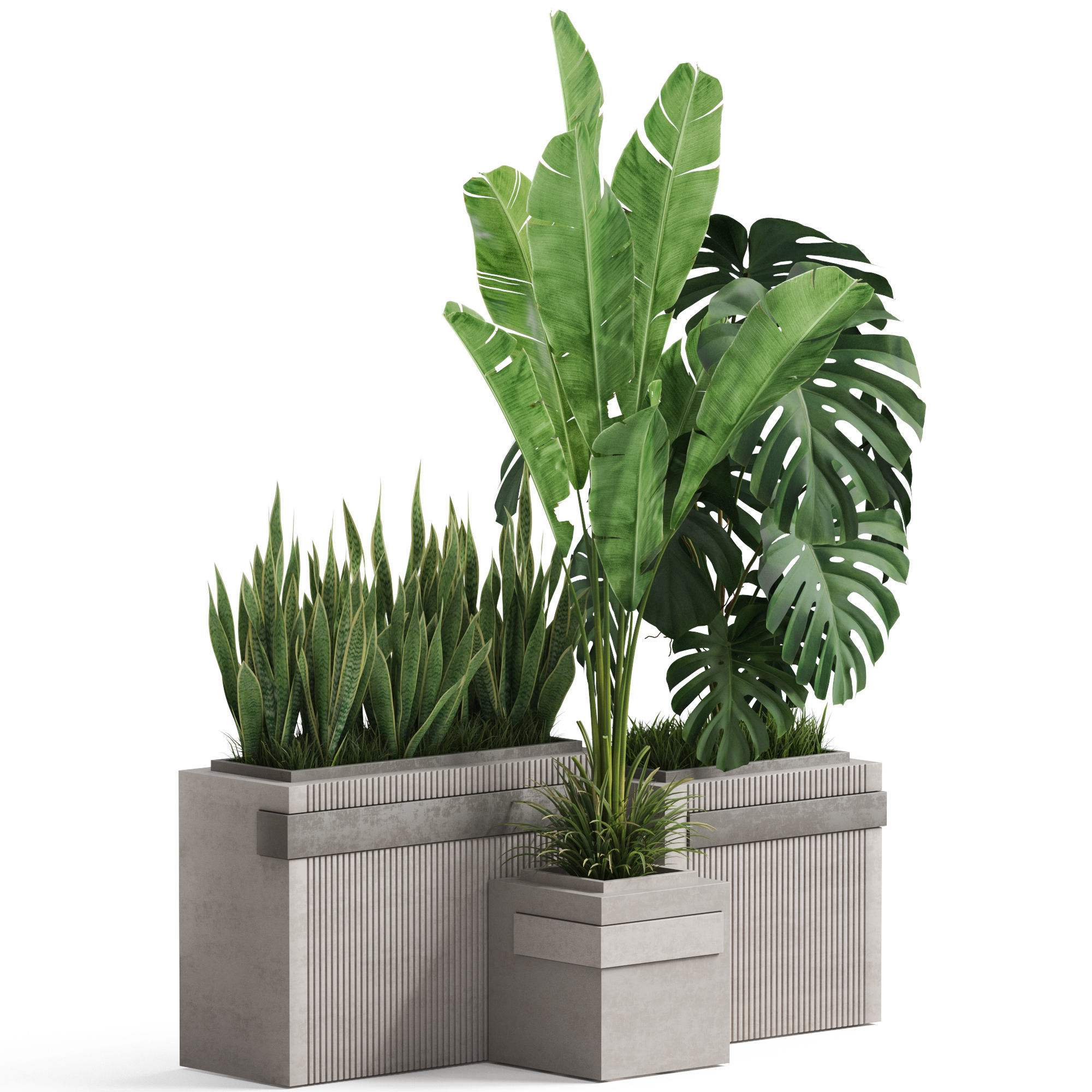 Plants collection 776 3D model | CGTrader