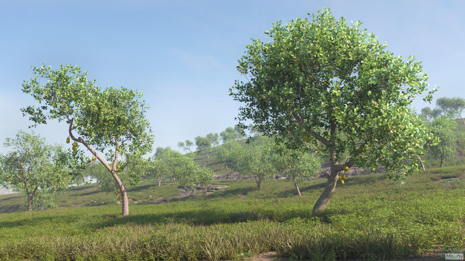 Jack Tree 3D model | CGTrader