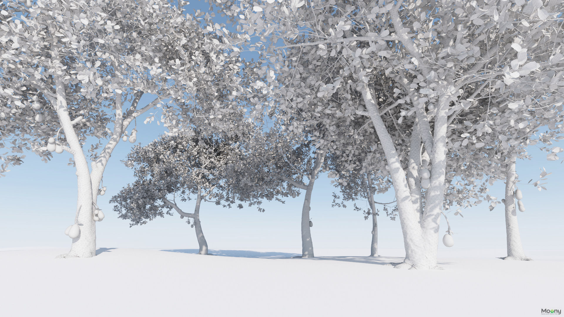 Jack Tree 3D model | CGTrader